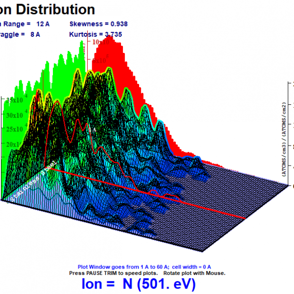 Simulations - Applied Ion Systems